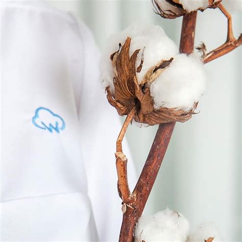 Медицинская одежда White Wears