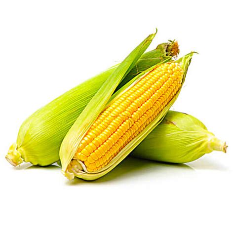 MAIZE FEED INDUSTRIAL GRADE National Commodity Derivatives Exchange Limited