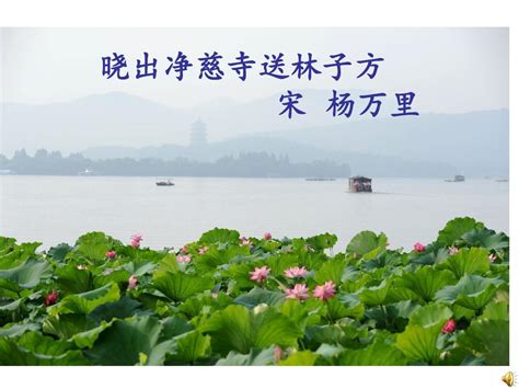 古诗：晓出净慈寺送林子方pptword文档在线阅读与下载无忧文档