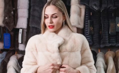 Як почистити хутро поради та підказки