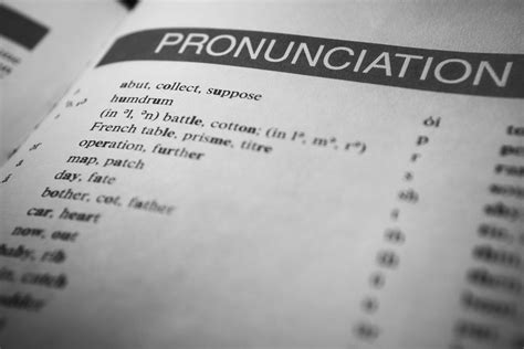 How To Add Language Skills To Your CV