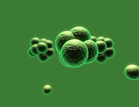 microbes bacteria shader unity engine unity discussions