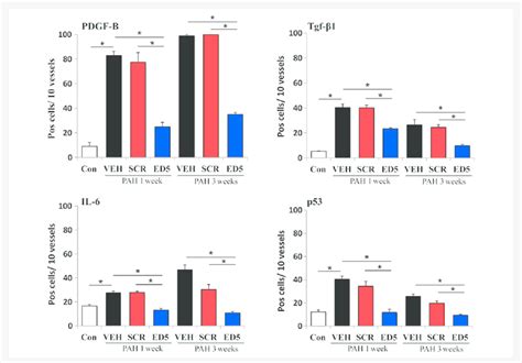 Pulmonary Vascular Expression Of The Egr 1 Downstream Genes Pdgf B