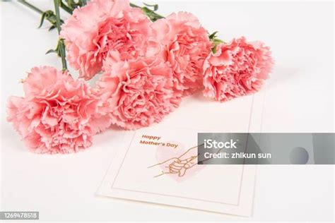분홍색 카네이션 꽃과 흰색 배경에 카드 해피 어머니의 날 0명에 대한 스톡 사진 및 기타 이미지 0명 꽃 나무 꽃 꽃의