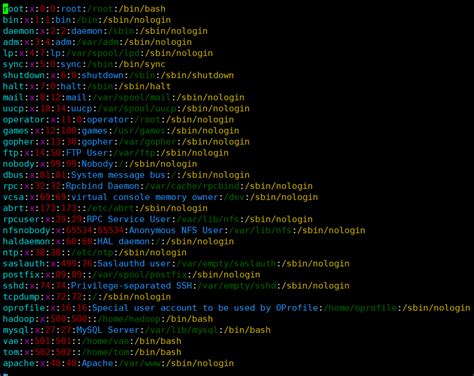 Linux系列教程十四Linux用户和用户组管理之相关配置文件 YSOcean 博客园