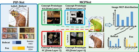 논문 리뷰 MCPNet An Interpretable Classifier via Multi Level Concept Prototypes