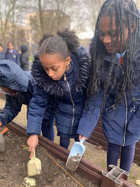 Science Week St Josephs Primary School