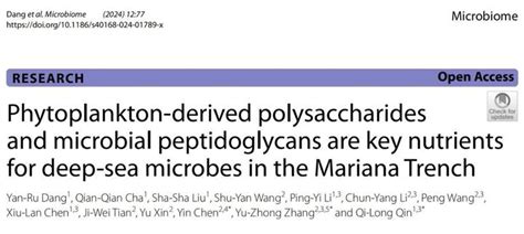 宏基因组 宏转录组双剑合璧，让您的研究脱颖而出 知乎