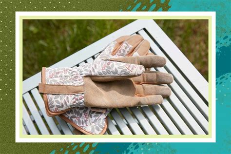 Get Your Garden Ready Our Essential Spring Gardening Tips