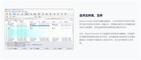 Beyond Compare下载 Beyond Compare2025最新版下载安装 游侠软件