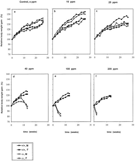 Relative Body Weight Gain Of Wild Type And Xpa Deficient Mice Treated