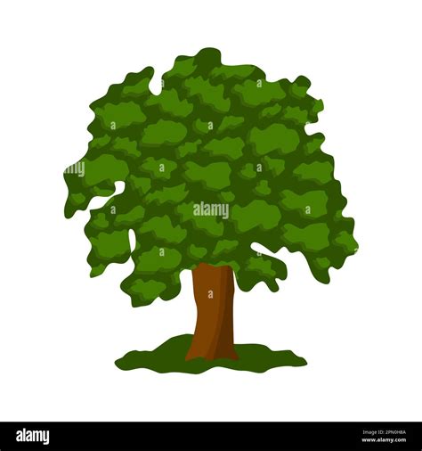 Oak Tree With Lush Crown Flat Style Vector Illustration Stock Vector