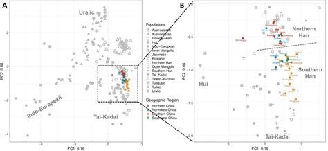 Fine Scale Genetic Structure Of Geographically Distinct Patrilineal Lineages Delineates