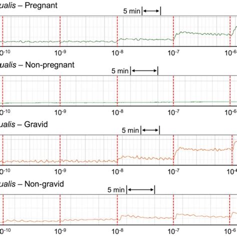 Representative Traces Of Ex Vivo Uterine Contractility Recorded For Download Scientific Diagram