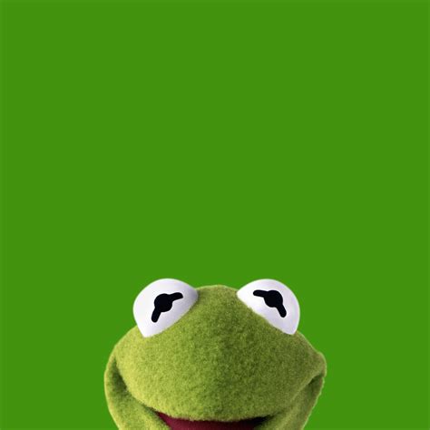 Kermit Wallpapers Wallpaper Cave