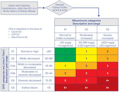 Ckd Gp Guidelines Quality Brunofuga Adv Br