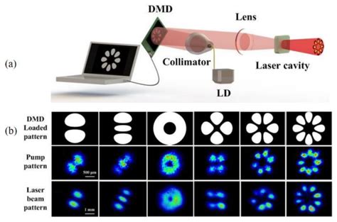 Structured Light Laser Shelly Lighting