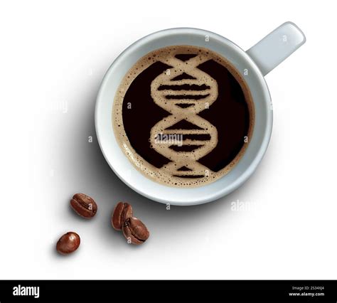 Coffee And Longevity Or Health Benefits As A Rich Source Of Antioxidants To Fight Oxidative