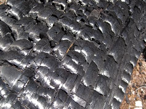 무료 이미지 나무 목재 조직 잎 트렁크 아스팔트 흙 자료 닫다 흘레 우디 식물 자동차 타이어 2400x1799 234096 무료 이미지