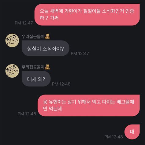 Mydream On Twitter 칠칠이들 소식좌 ㅋㅋㅋㅋㅋ 아니 다미가 내 하루를 다 정리해놓음