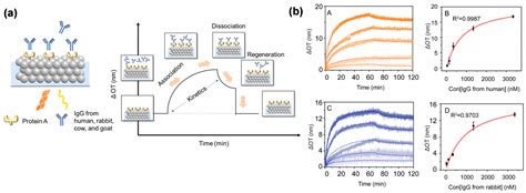 Biosensors Free Full Text From Self Assembly Of Colloidal Crystals Toward Ordered Porous