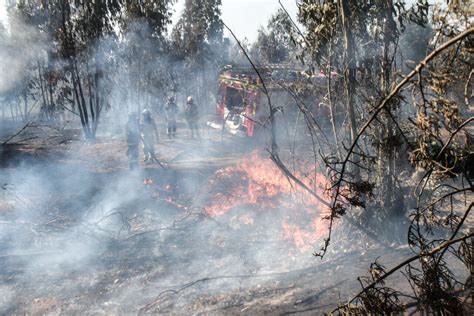 Formalizan A Agricultor Por Incendio En San Javier Que Afectó A Más De