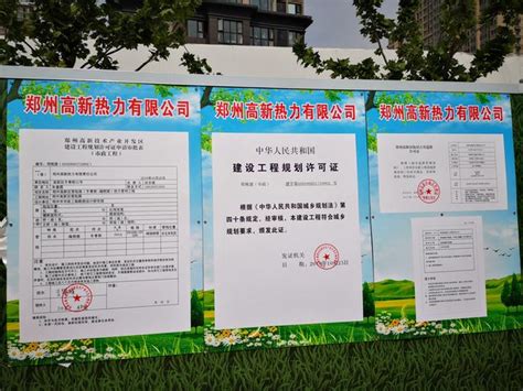 郑州高新热力路边施工挖沟 多棵行道树被毁坏 中华网河南