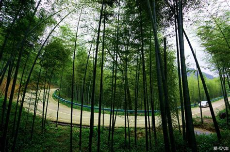 星星竹海风景区介绍 景点 赤壁 第3页 大山谷图库