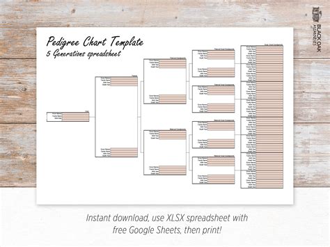 Ancestor Details Pedigree Chart 5 Generations Digital Printable Xlsx