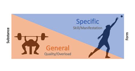 Strength Training Manual Exercises Part 2 Complementary Training