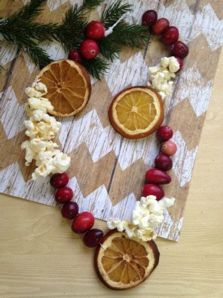 Diy Dried Fruit Garland With Popcorn