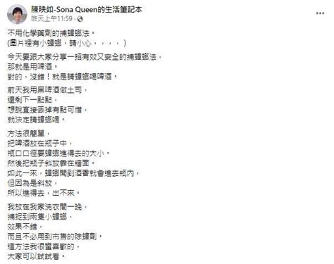 達人曝抓蟑螂妙招 「免用化學藥劑」進得去出不來實測1夜戰績曝 生活 Ctwant