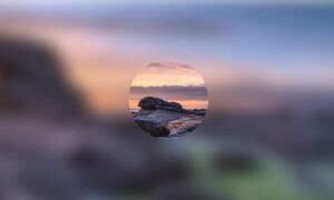 CSS Blur Effect Showcase 41 Examples