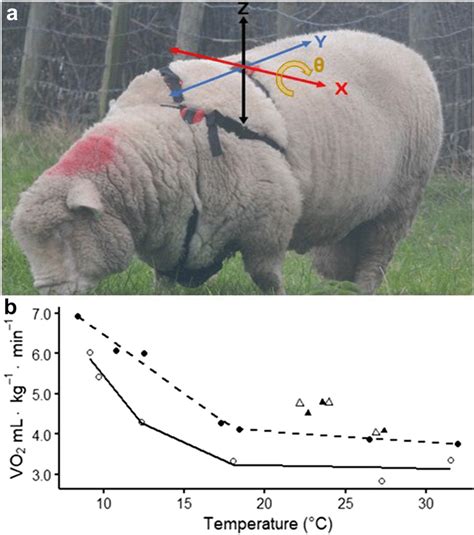 Tri Axial Accelerometer Attachment And Thermogenic Curve Of Sheep A