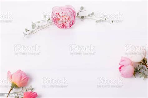 흰색 배경에 축제 꽃 영어 장미 구성 오버 헤드 상단 보기 플랫 레이 공간을 복사합니다 결혼식에 대한 스톡 사진 및 기타 이미지
