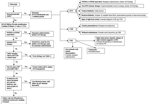 Proposed Algorithm For Initial Management Of Chest Pain In The Download Scientific Diagram