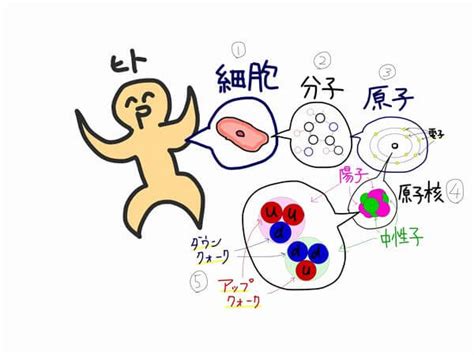 波動はどうとは何？波動とアセンションの密接な関係を知ろう！