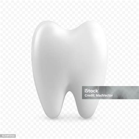 ベクター画像3dリアルな歯歯科検査バナープラカード歯のアイコンの接写医療歯科医のデザインテンプレート歯の健康コンセプト 3dのベクター