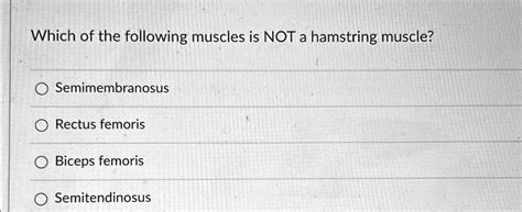 Solved Which Of The Following Muscles Is Not A Hamstring Muscle
