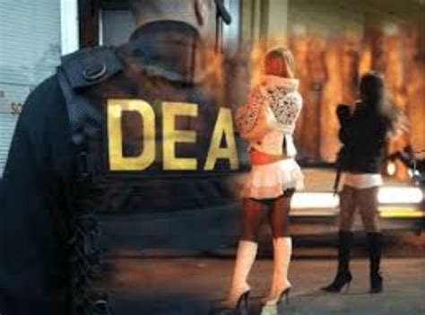 Dea Agents Caught Having Drug Cartel Funded Prostitute Sex Parties