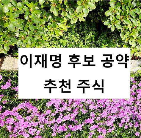 🔎 이재명 대통령후보 공약으로 본 유망 주식 투자 전략 Top 종목 추천