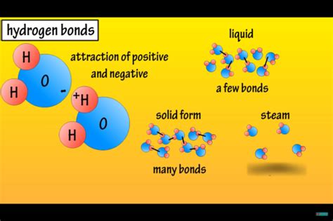 Unit 5 Gases Etc Flashcards Quizlet