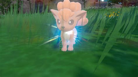 How To Evolve Vulpix Into Ninetails In Pokémon Scarlet And Violet