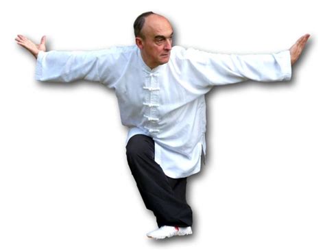 QI GONG des animaux spontanés Professeurs de Qi Gong
