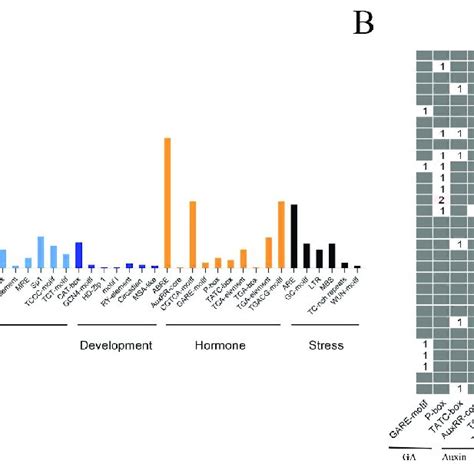 Cis Elements Analysis In The Promoter Of Bamboo Gata Genes A