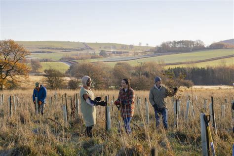 Nature Based Solutions Initiative New Agenda For Ecological Research