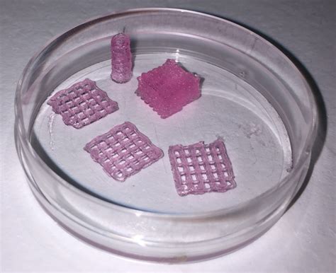 Bioprinting 3d Printed Cell Constructs 3d Unipv