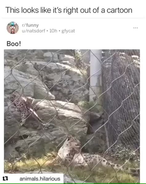 Faisal Sayyed Posted On Linkedin Faisal Sayyed Posted On Linkedin