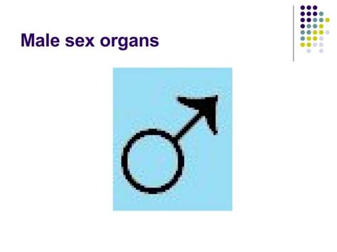 Human Reproduction Sex Organs Ppt