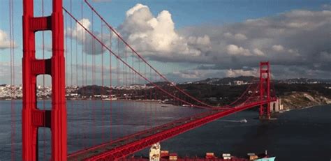 San Francico S Get The Best  On Giphy